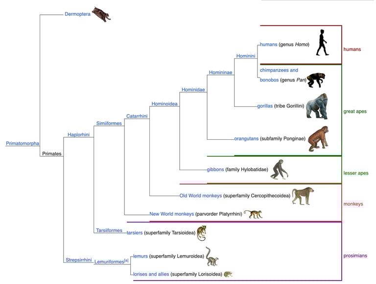 Hierarchical vs Relational Data Models: A Comprehensive Guide