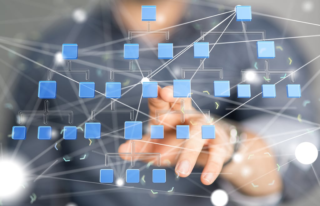 What Is A Hierarchical Data Model? | Definition And Examples