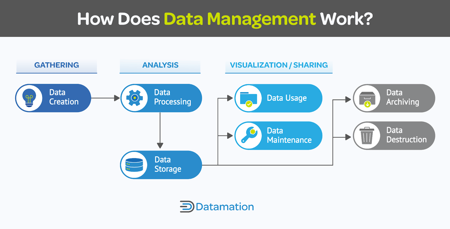 What Is Data Management? A Guide to Systems, Processes, and Tools